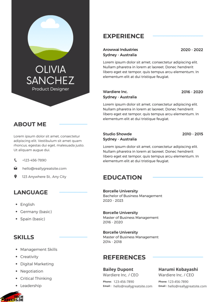 Top German CV 2024 : Format, Samples and Tips
